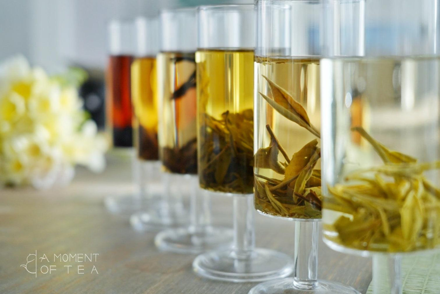 Introduction to Tea: Tea History, Different Tea Types, Tea Cultures – A ...